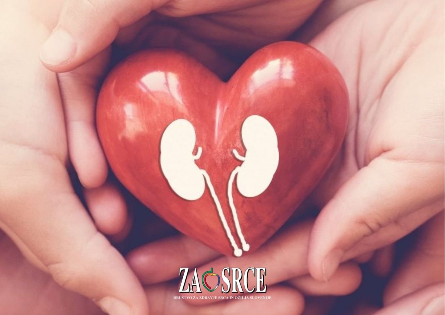 Mesec srčnega popuščanja in zdravja ledvic – mesec brezplačnih meritev - Društvo za zdravje srca ...