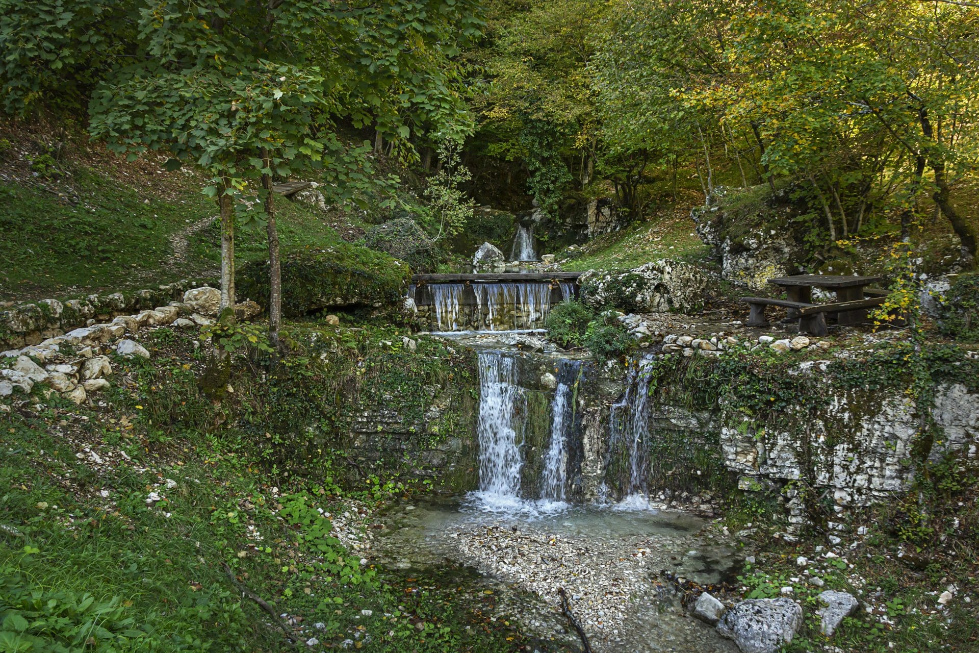 Ogled mitskega parka Rodik - Društvo za zdravje srca in ožilja Slovenije