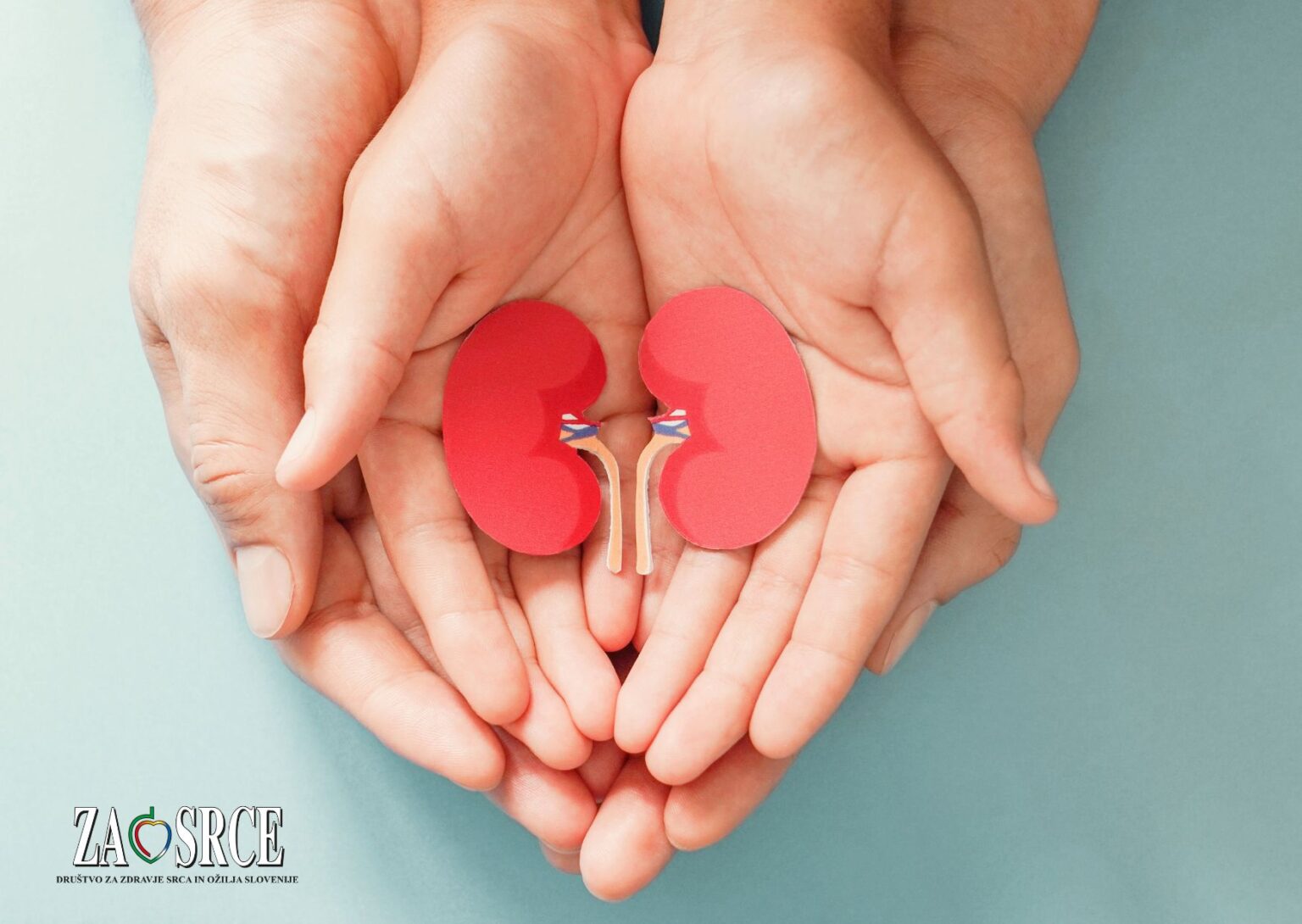 Novinarska konferenca: Brez ledvic si ful drugačen - ali si prepričan ...